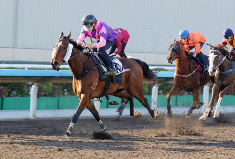 David Eustace 'looking forward' to Sha Tin chances as he assembles ...