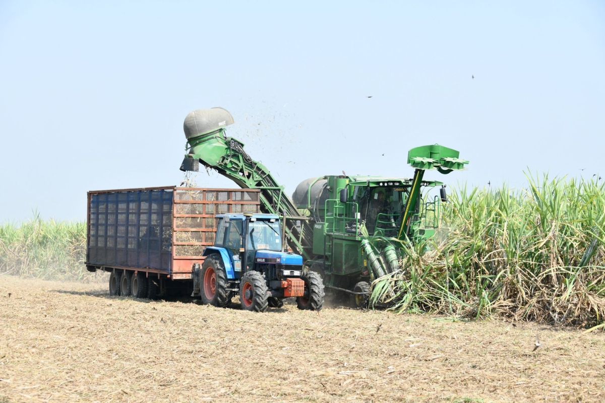 เปิด 3 มาตรการช่วยไร่อ้อยกว่า 260,000 ไร่ ผลจากเหตุปะทะชายแดนไทย-กัมพูชา