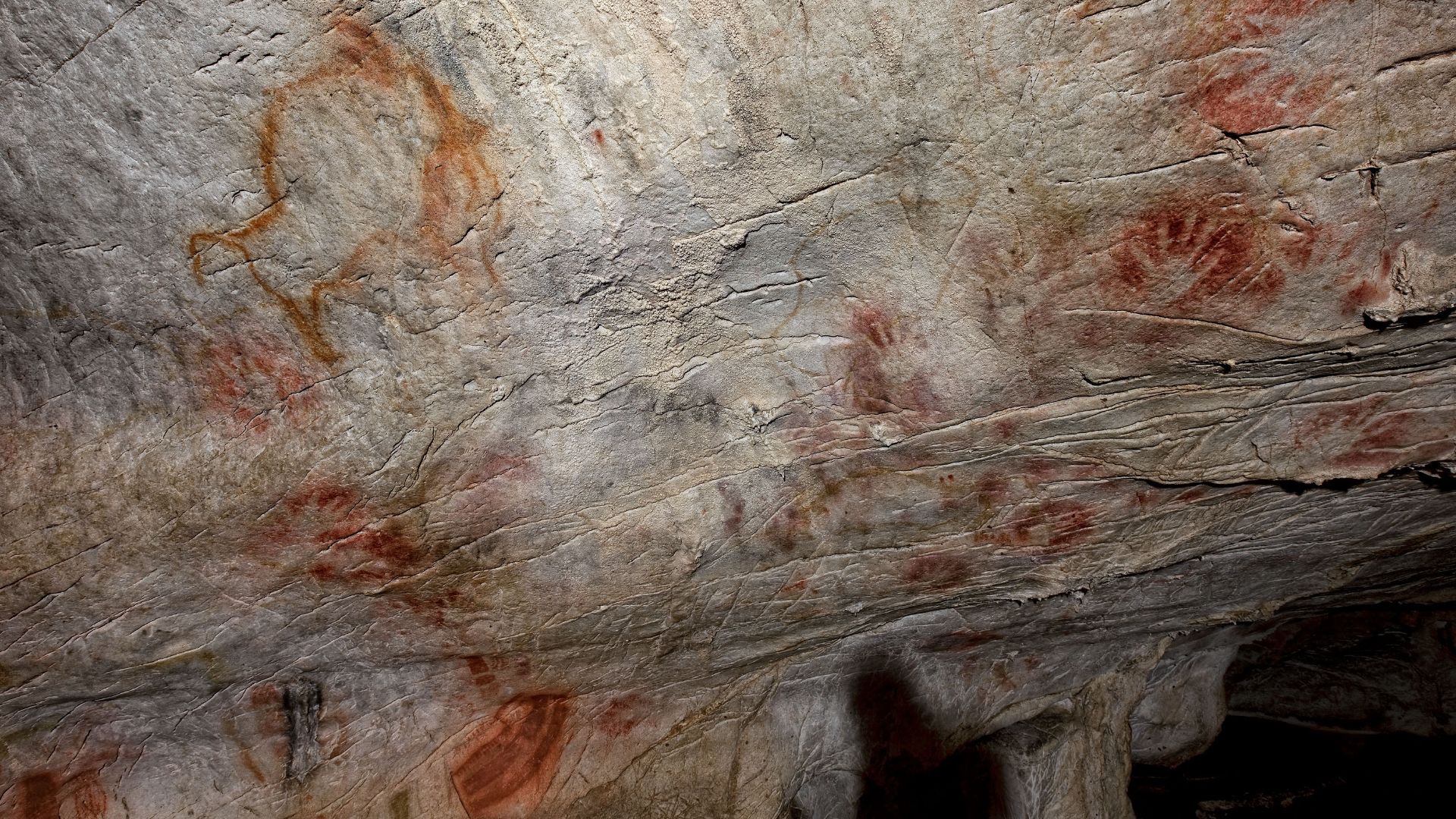 Prehistoric handprints in European caves show missing fingertips, and ...