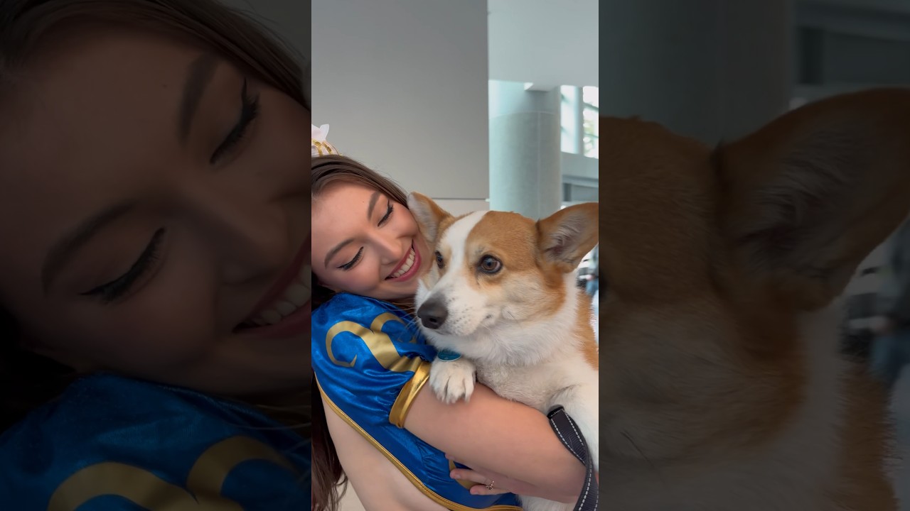 Cuddling with Scooter #dog #cuddle #cutie #cute #dog #puppies #corgi # ...