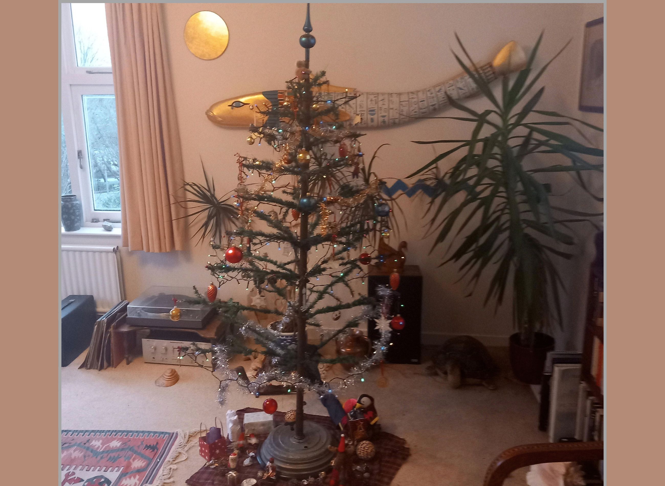 Unique Christmas tree bought from Edinburgh's Jenners in 1910 may be ...