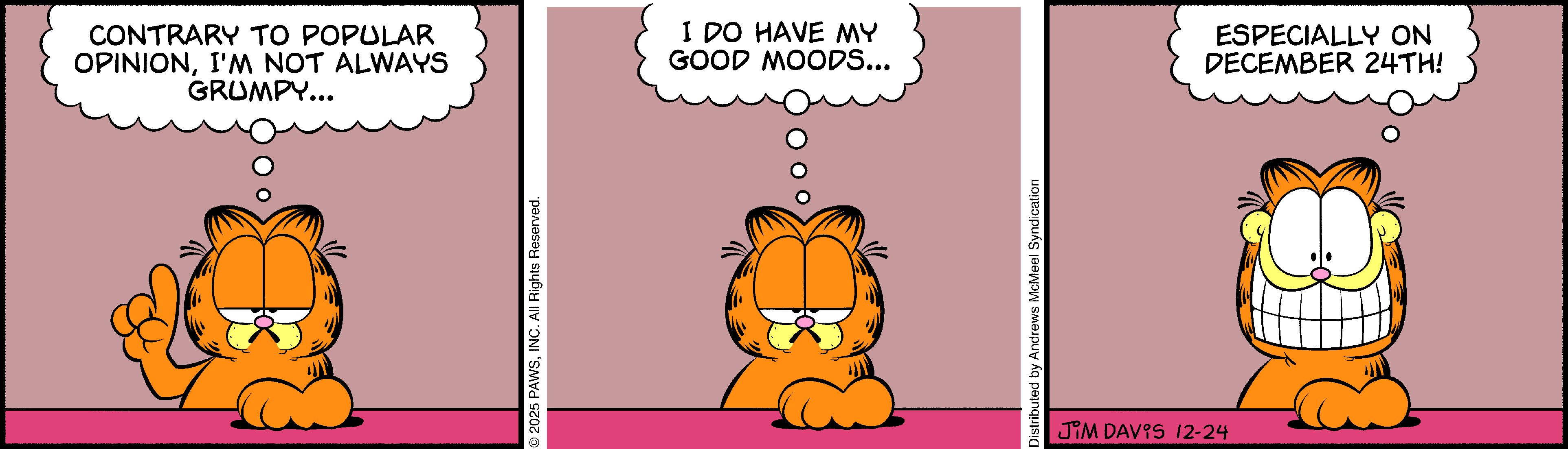 Garfield by Jim Davis