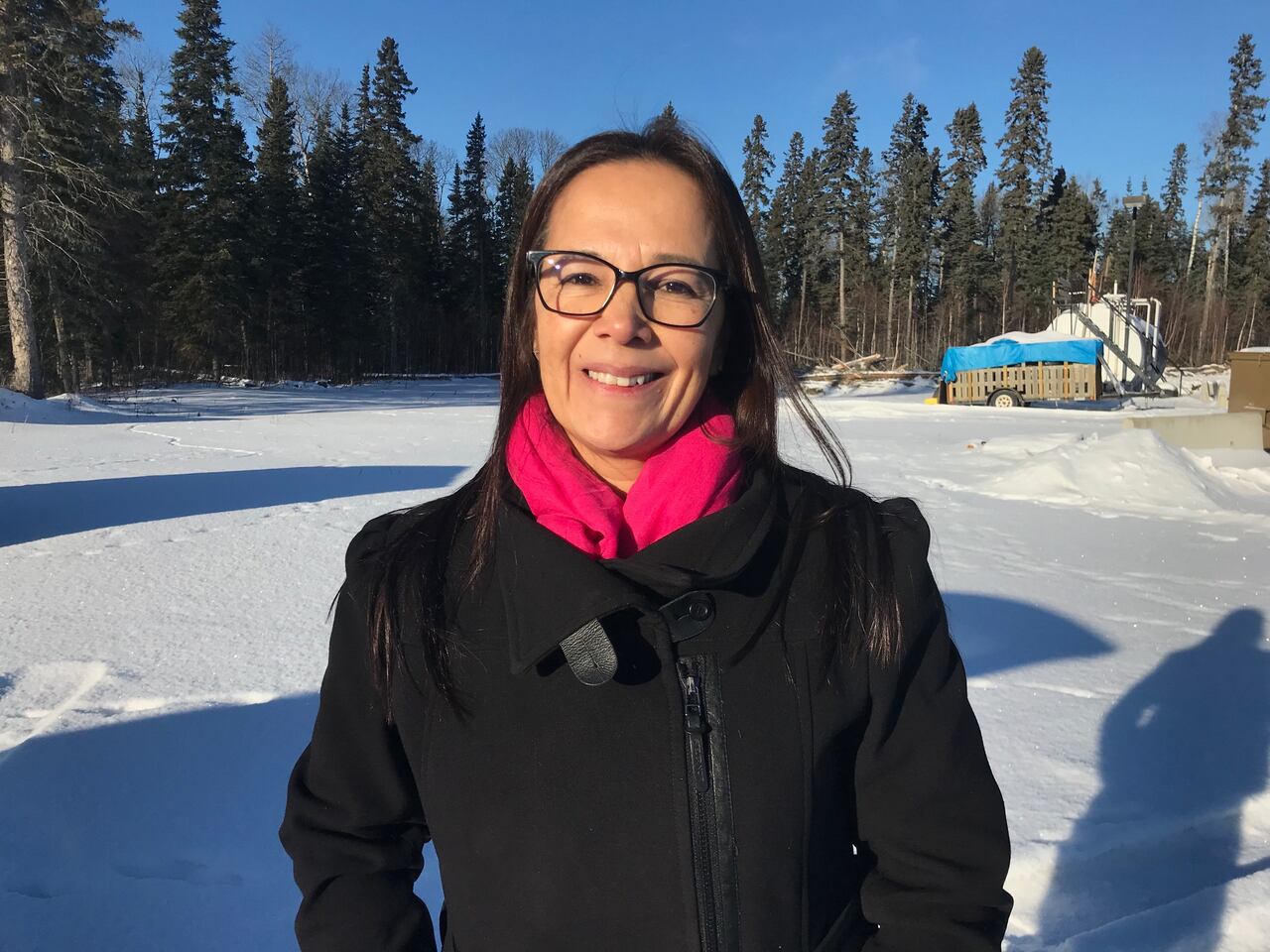 Lac La Ronge Indian Band Chief Tammy Cook-Searson says she won't run ...