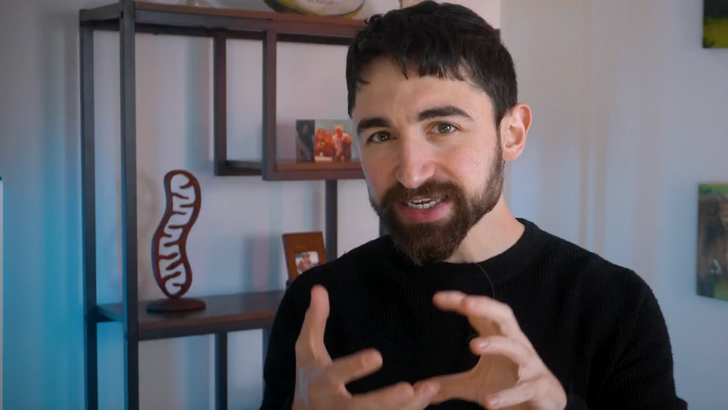 How chronic stress hijacks a small—but powerful—brain region