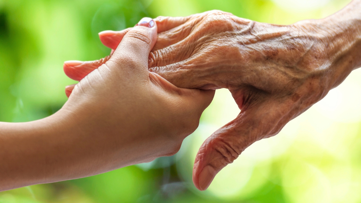 A common blood pressure drug boosts lifespan and slows aging in animals