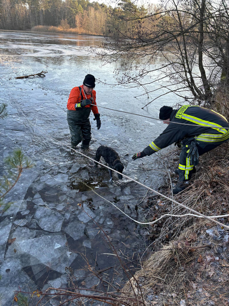 Eschede: Feuerwehr befreit Hund aus Eisloch im See