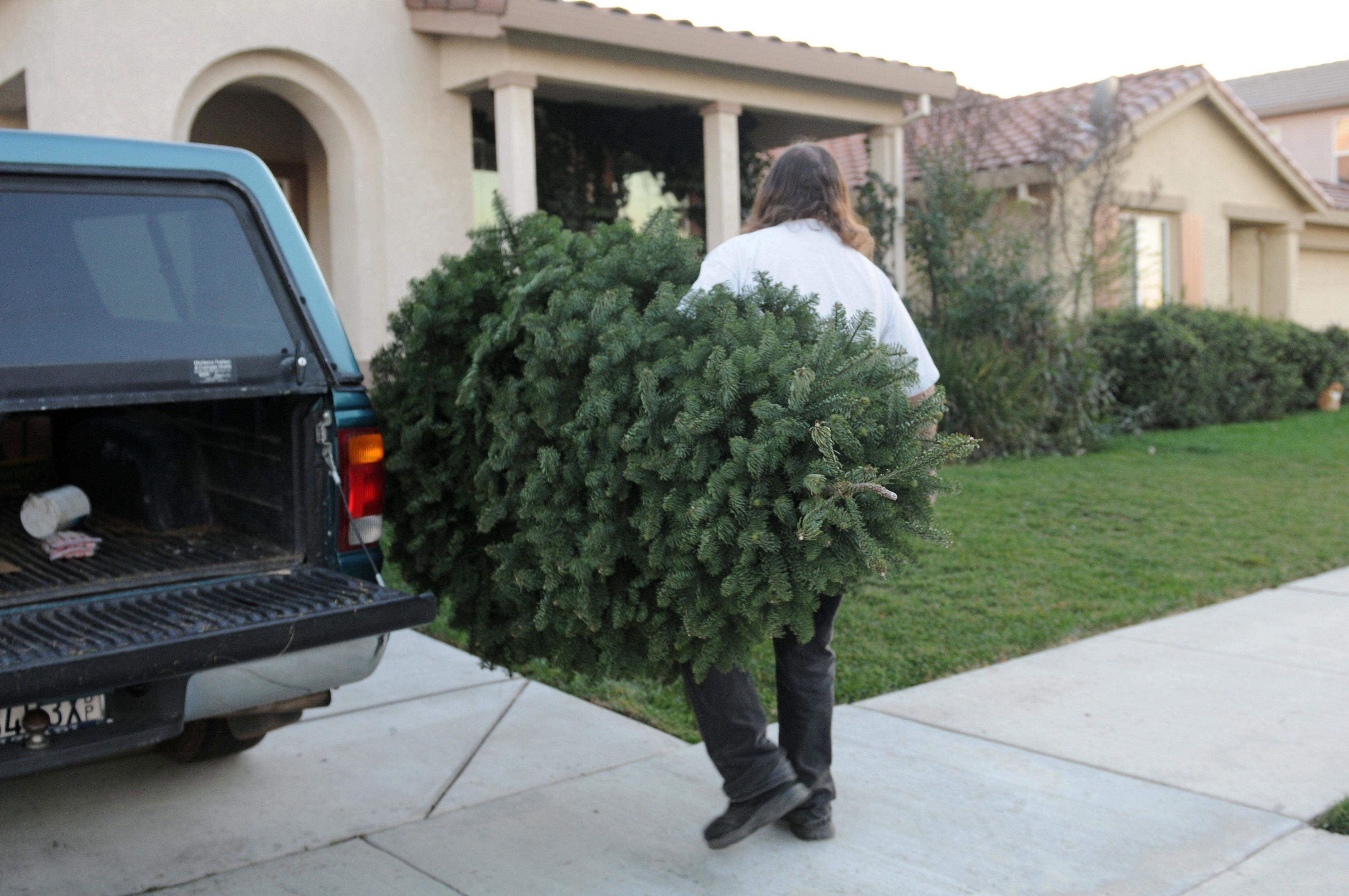 Taking down your Christmas tree in Merced? Here's how to get rid of it