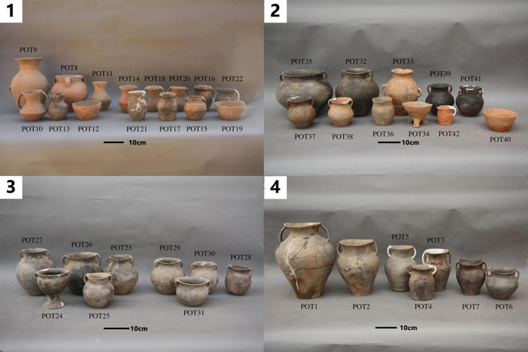Archaeologists uncover Bronze Age secret to brewing red rice wine