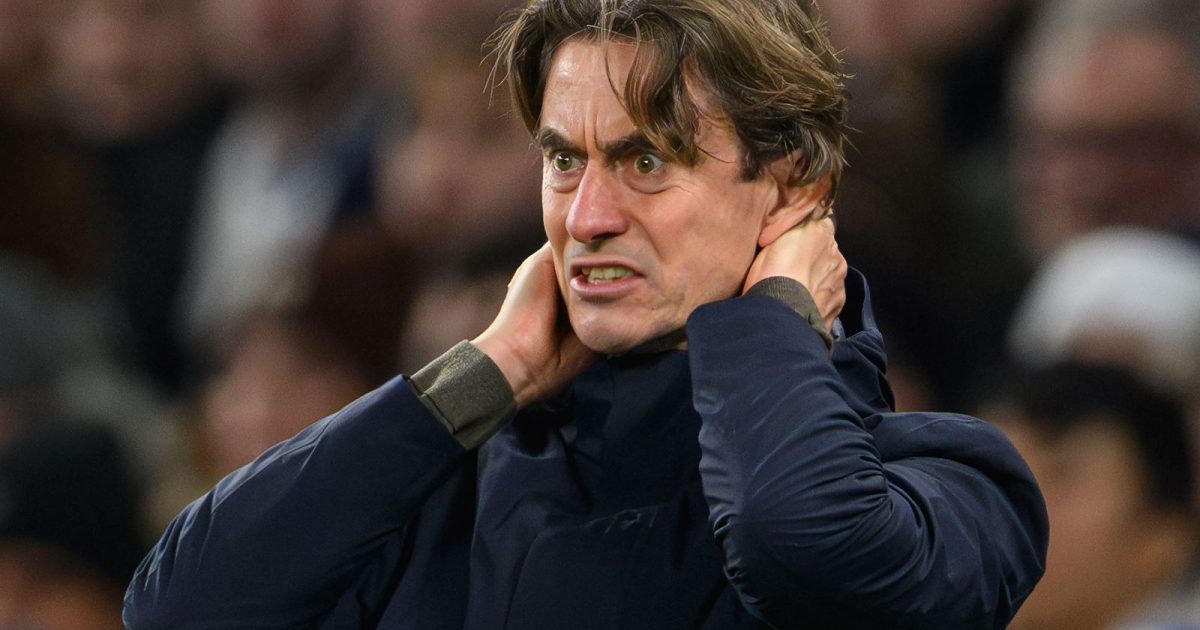 Tottenham hatch extraordinary plan for club legend to replace Frank ...