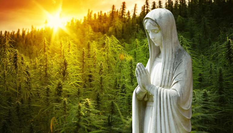 ¿Cómo se lleva la Iglesia Católica con la marihuana?