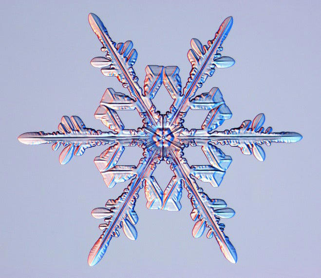 Weather words: Stellar dendrite