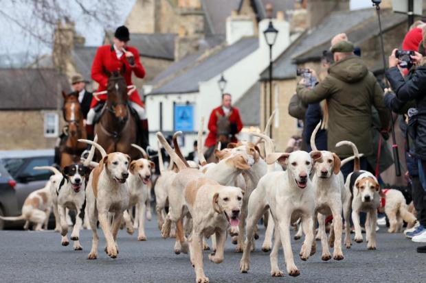 Crowds turn out for Boxing Day hunt amid looming government crackdown
