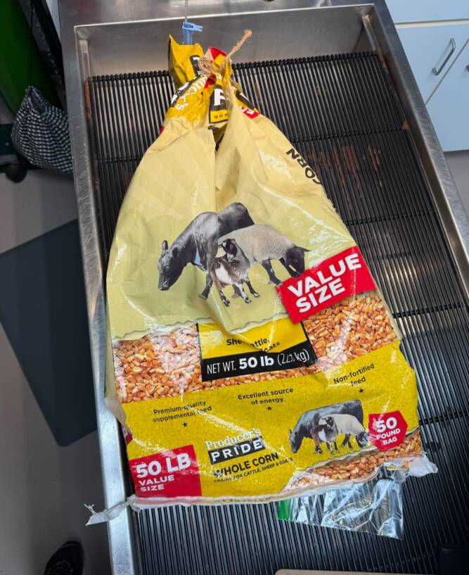 Driver stops to pick up trash and finds feed bag with someone zip-tied ...