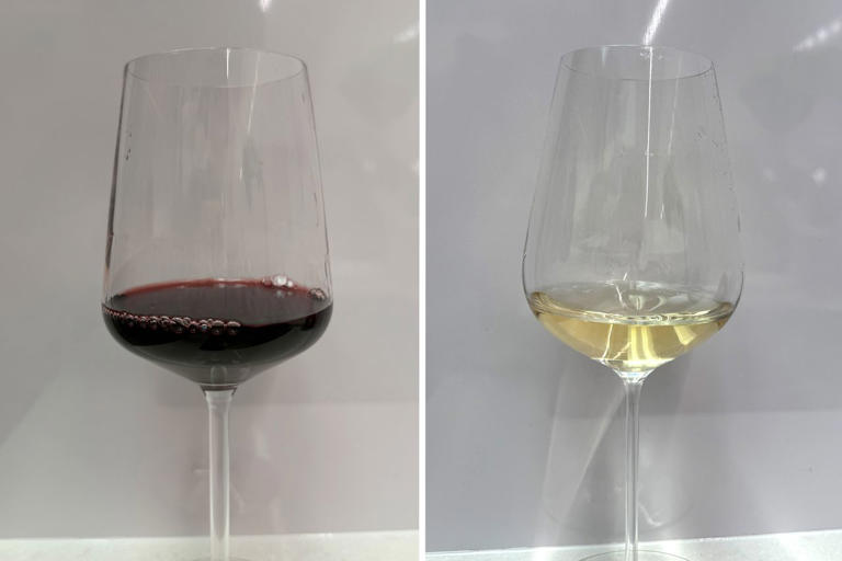 How Long Open Boxed Wine lasts — Our Week-by-Week Test Has Answers