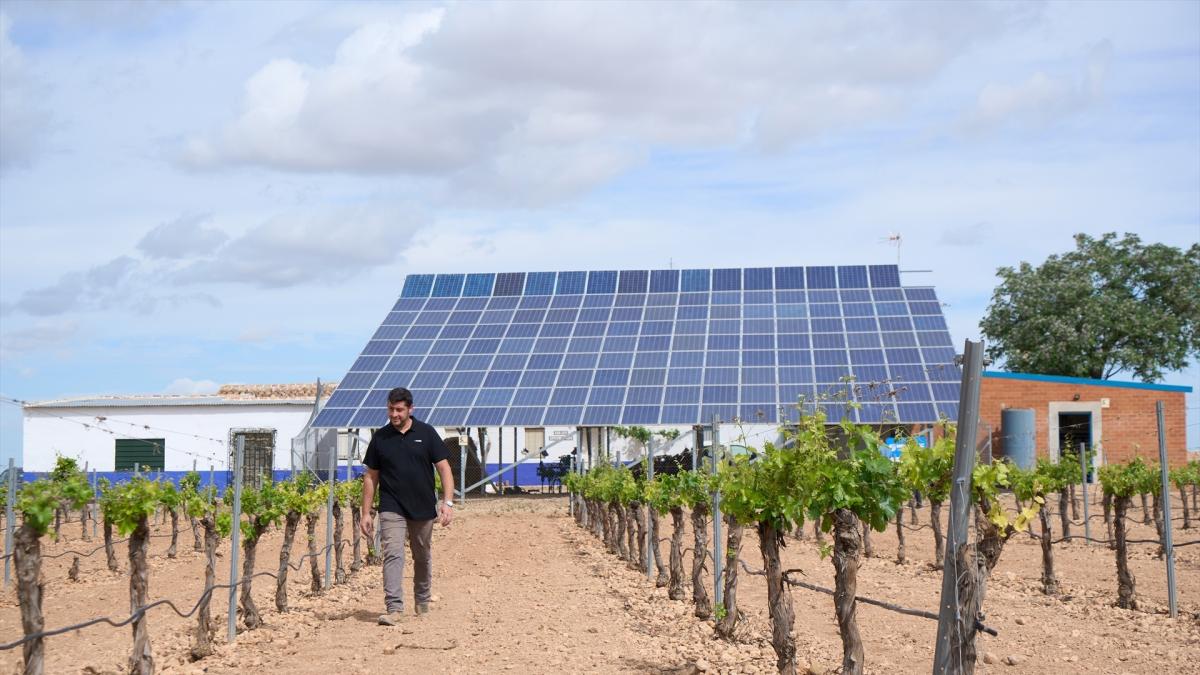 Los jóvenes agricultores de Castilla-La Mancha podrán solicitar ayudas ...