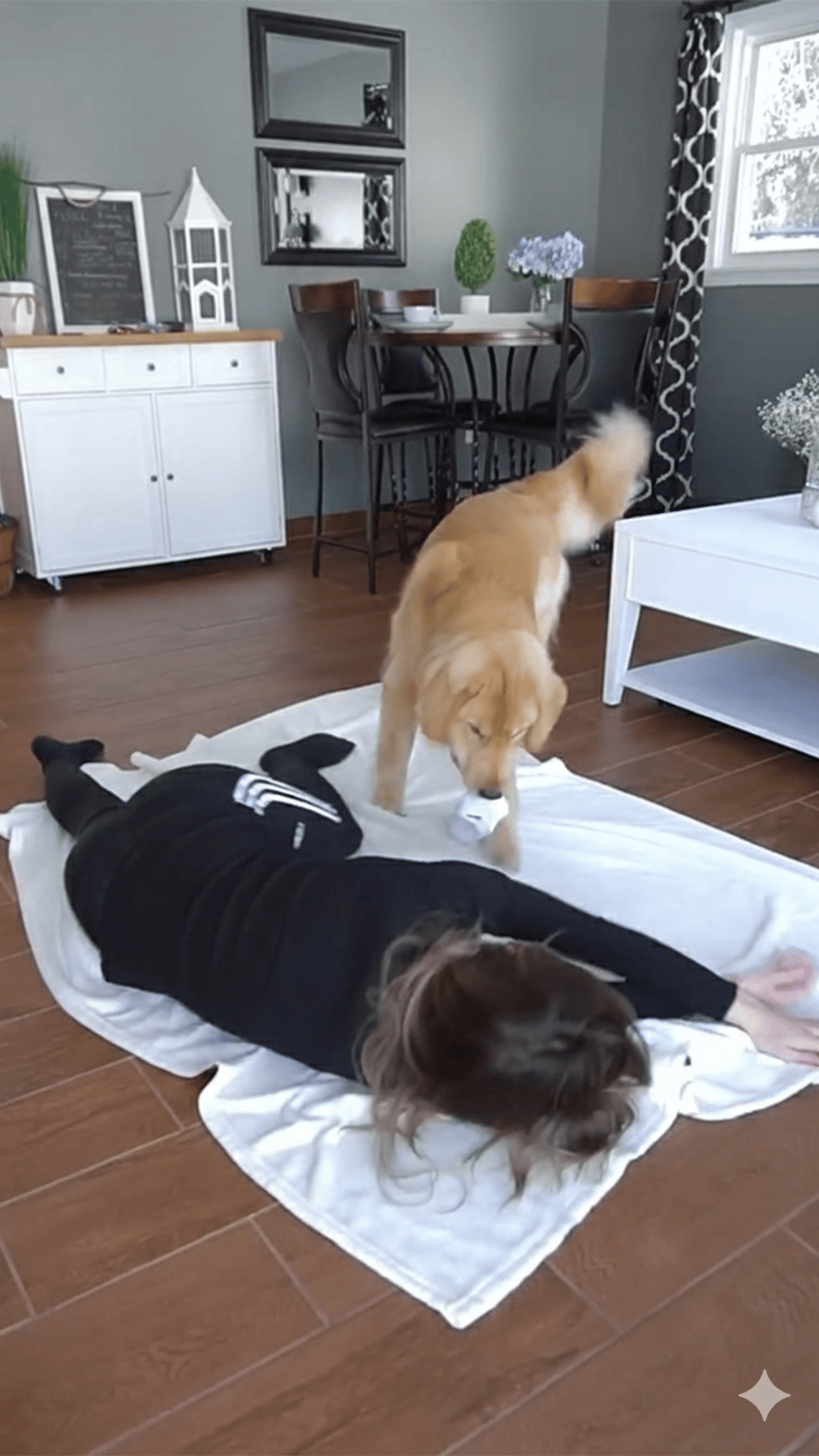My dog was not impressed