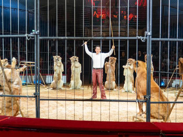 Staunen, lachen, Applaus! Circus Krone begeistert München mit neuem ...