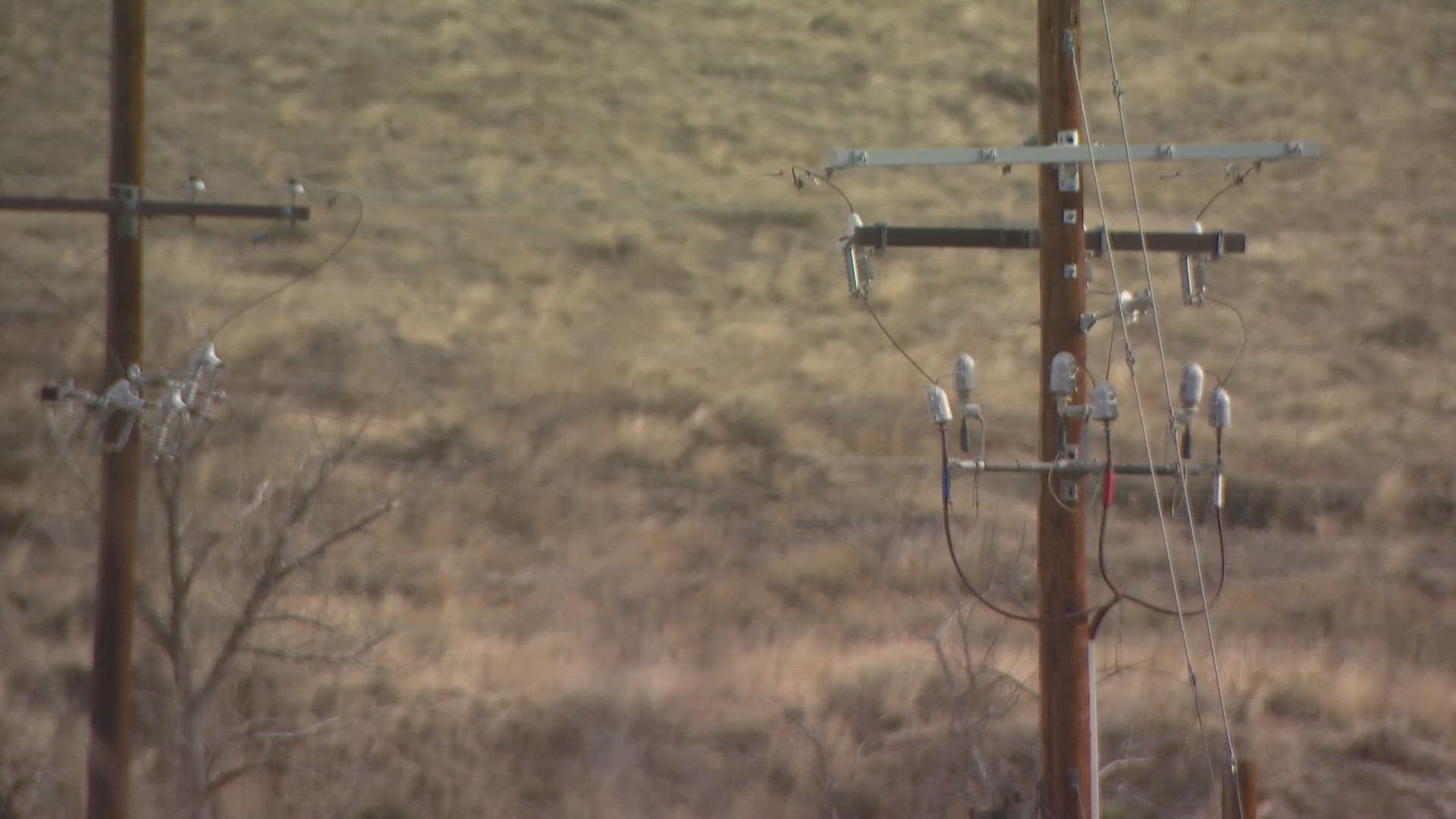 Latest headlines | Colorado businesses suffer big losses due to power ...