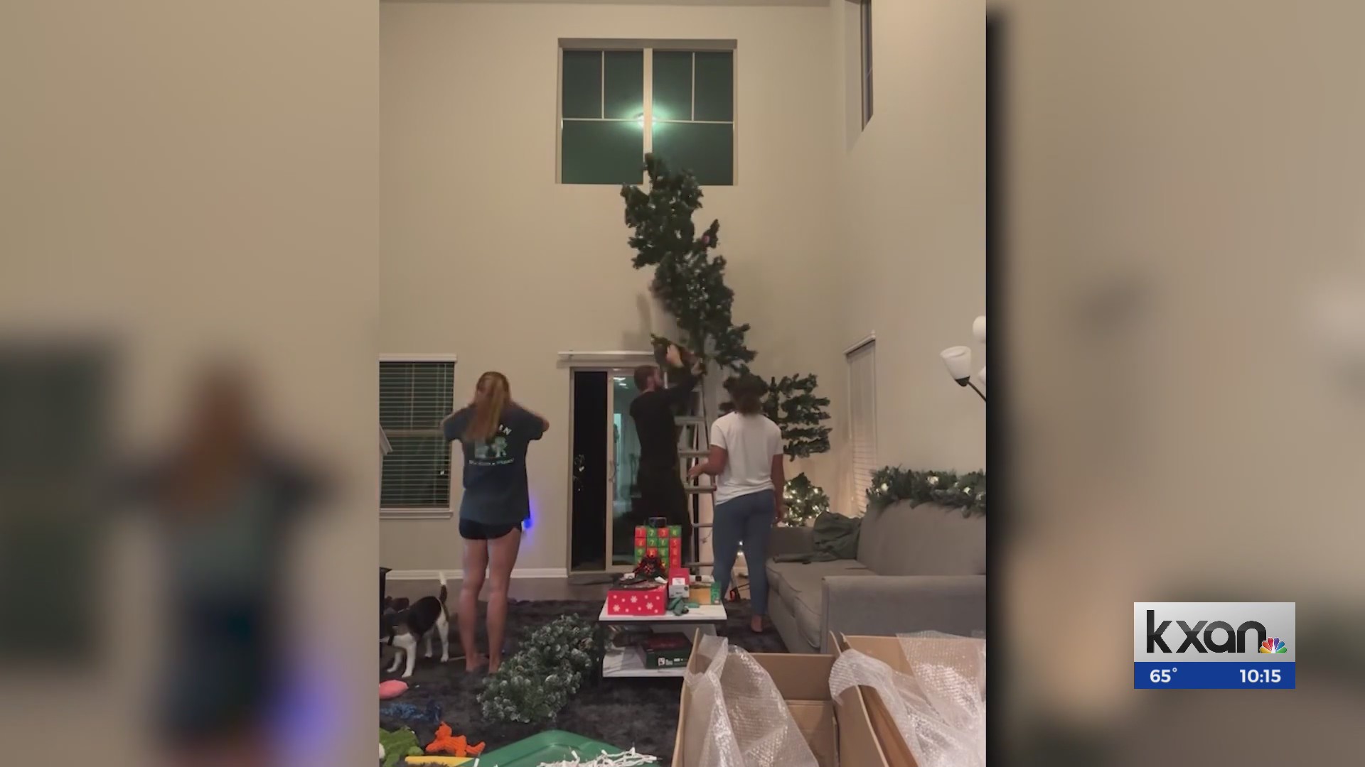 South Austin roommates get creative with tree delivery mishap