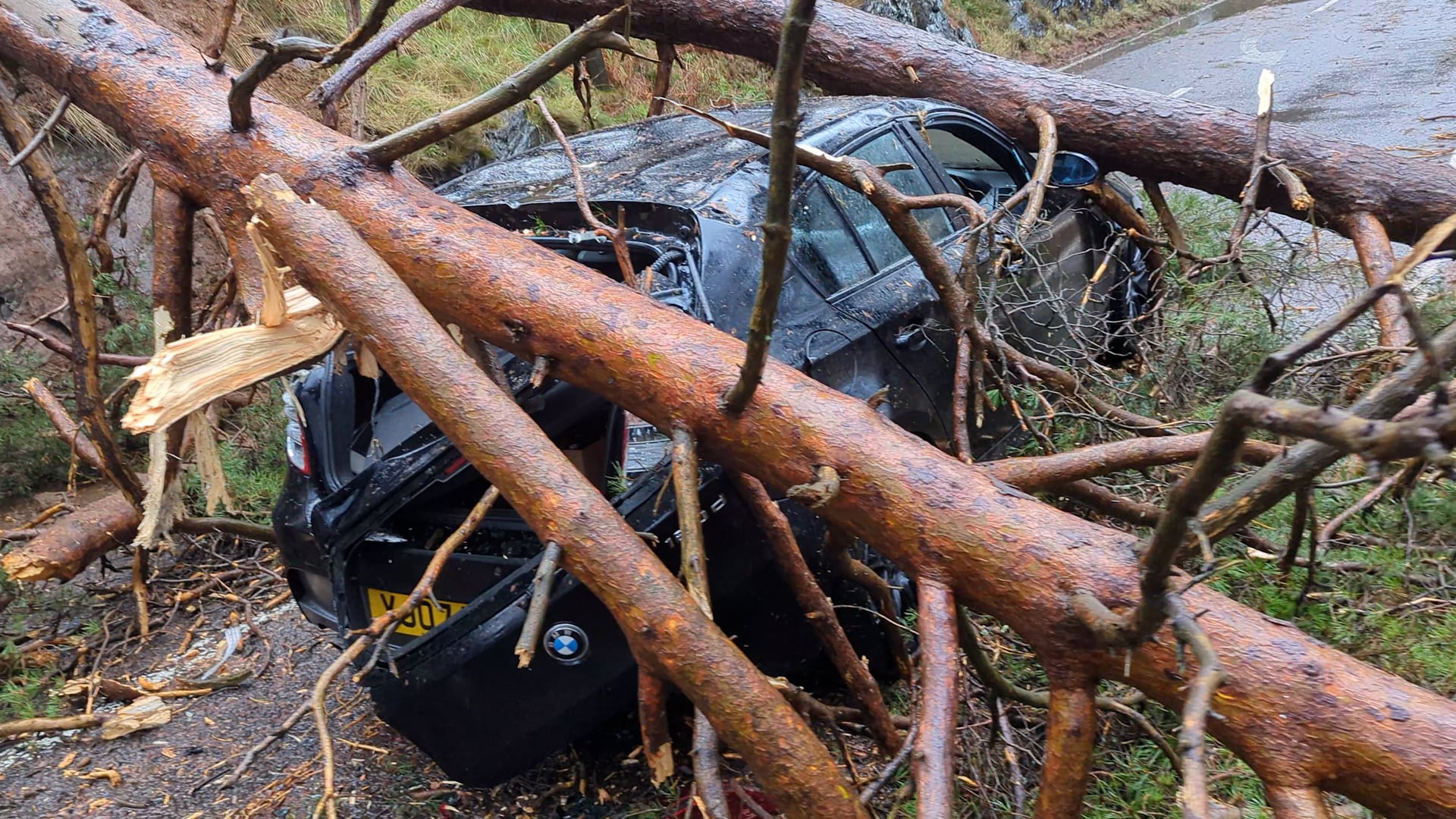 Wie durch ein Wunder entkam der Vater, nachdem drei Bäume seinen BMW ...