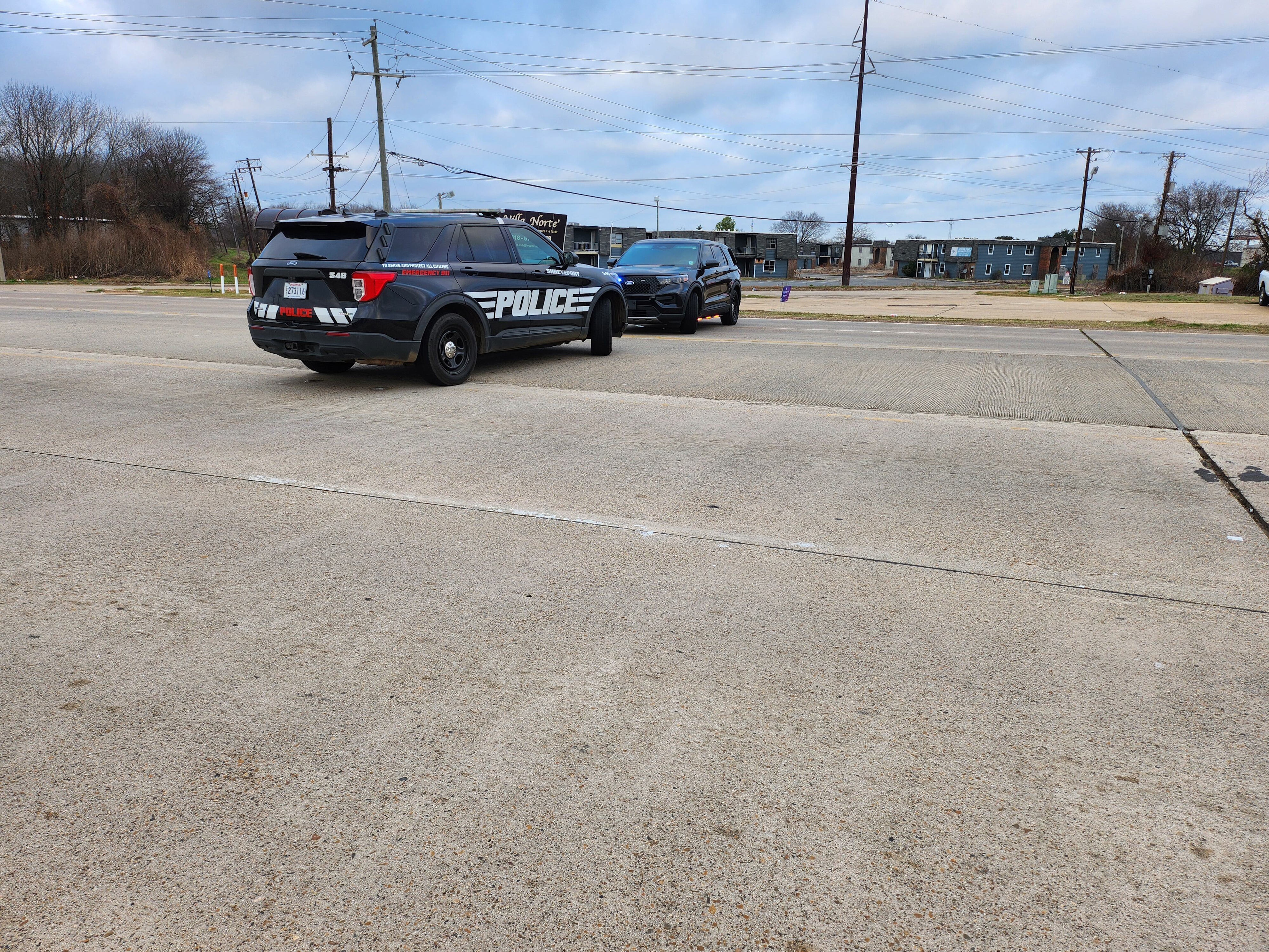 Woman killed on N Hearne Ave. named by coroner’s office