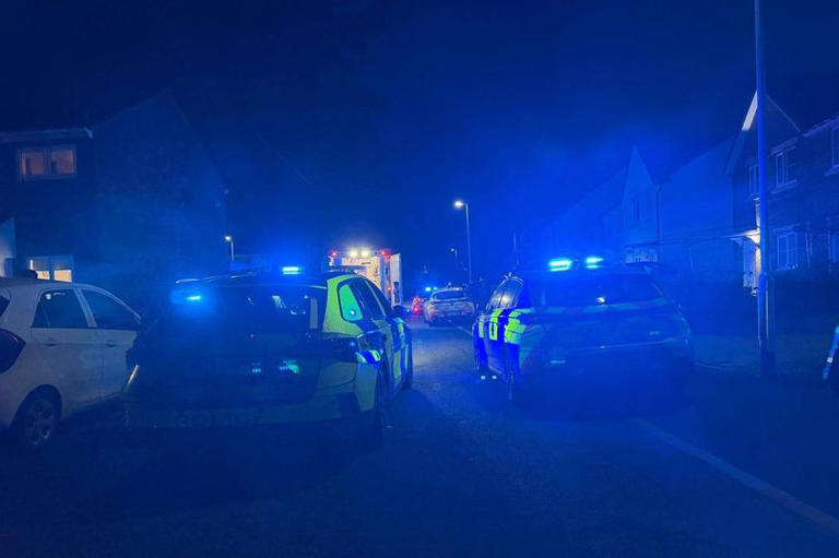 Neighbours describe 'shock to see blue lights' after Christmas scuffle ...