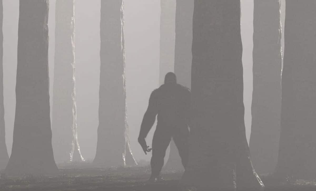 A video captures the Florida skunk ape, but what’s really behind it?