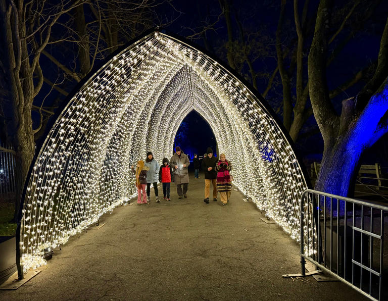 Garden of light: Where illumination transforms winter gardens into ...