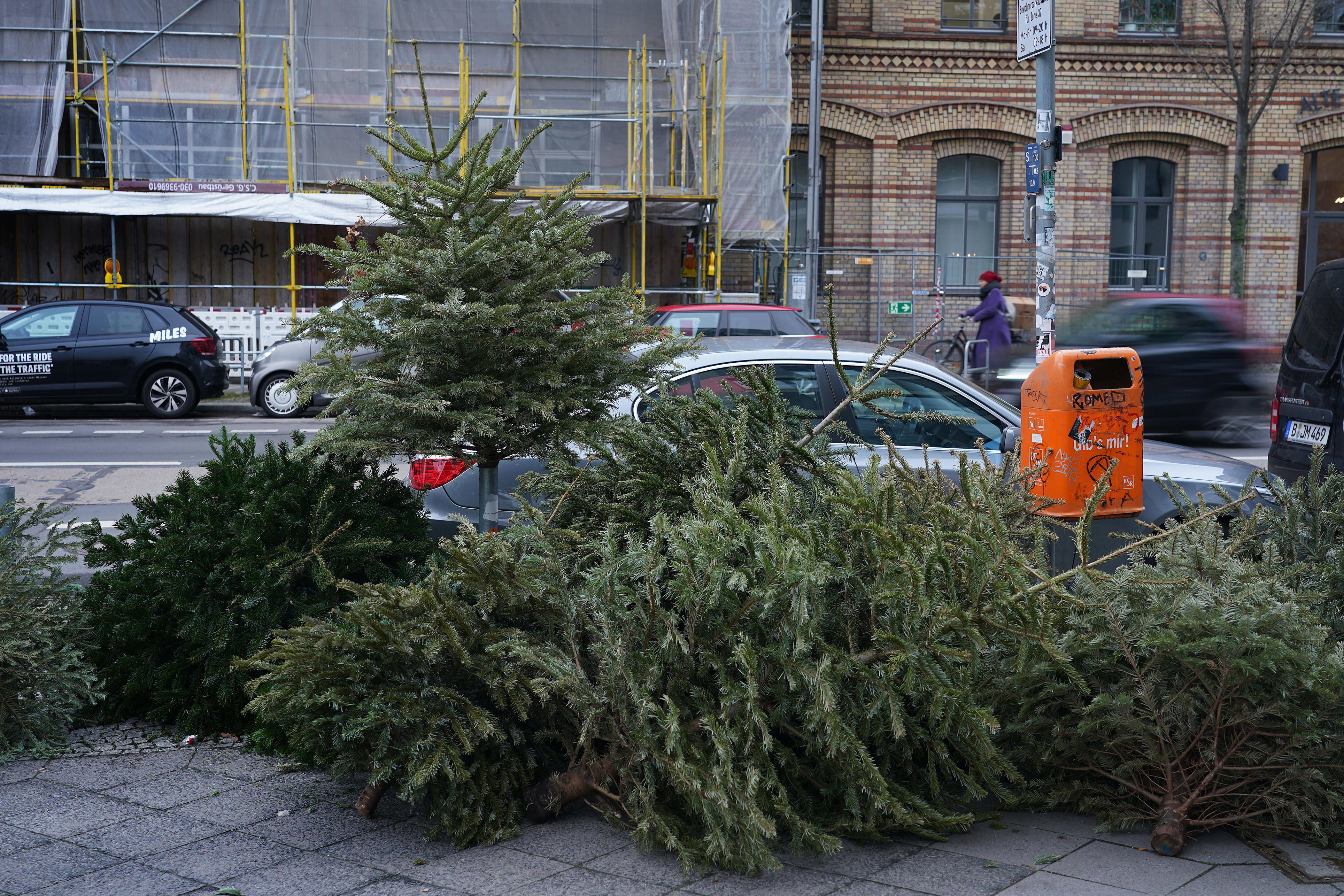Christmas has come and gone. How to get rid of your real tree