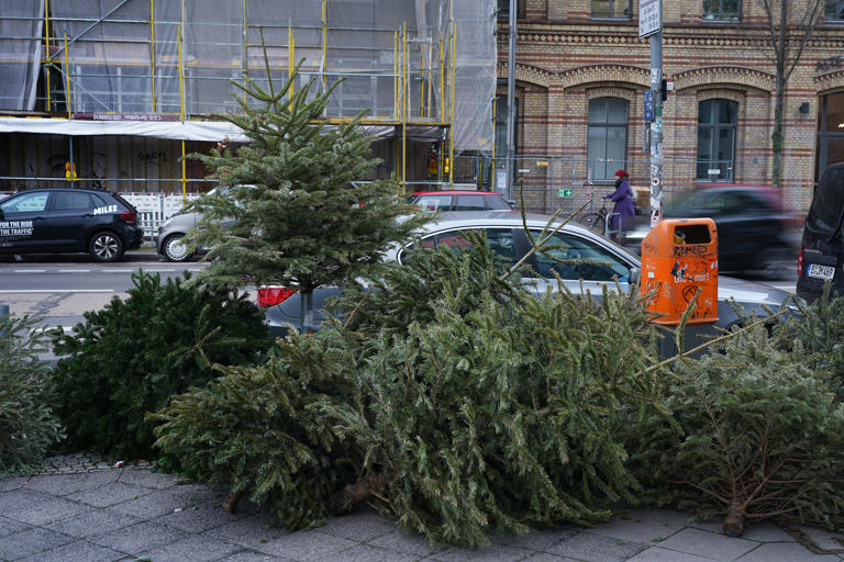 Christmas has come and gone. How to get rid of your real tree