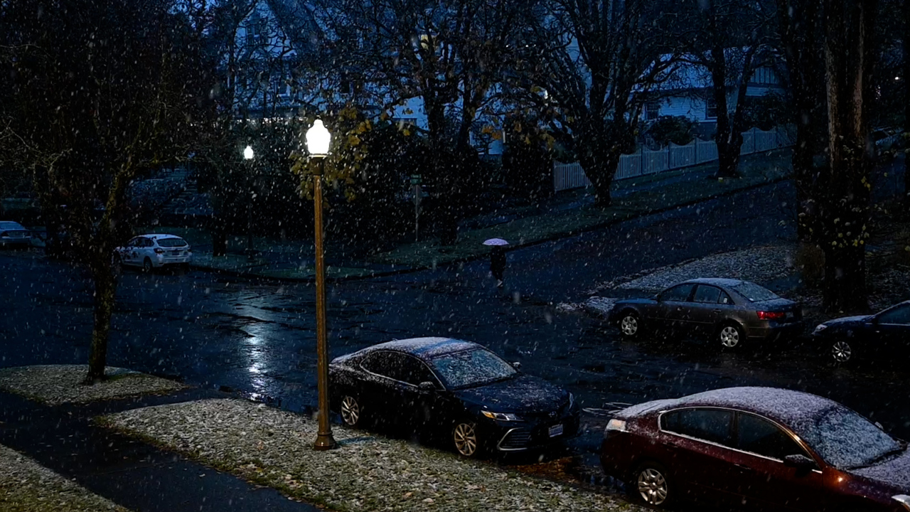 Flurry watch: Why a little snow makes a deep impact in Tacoma | Opinion