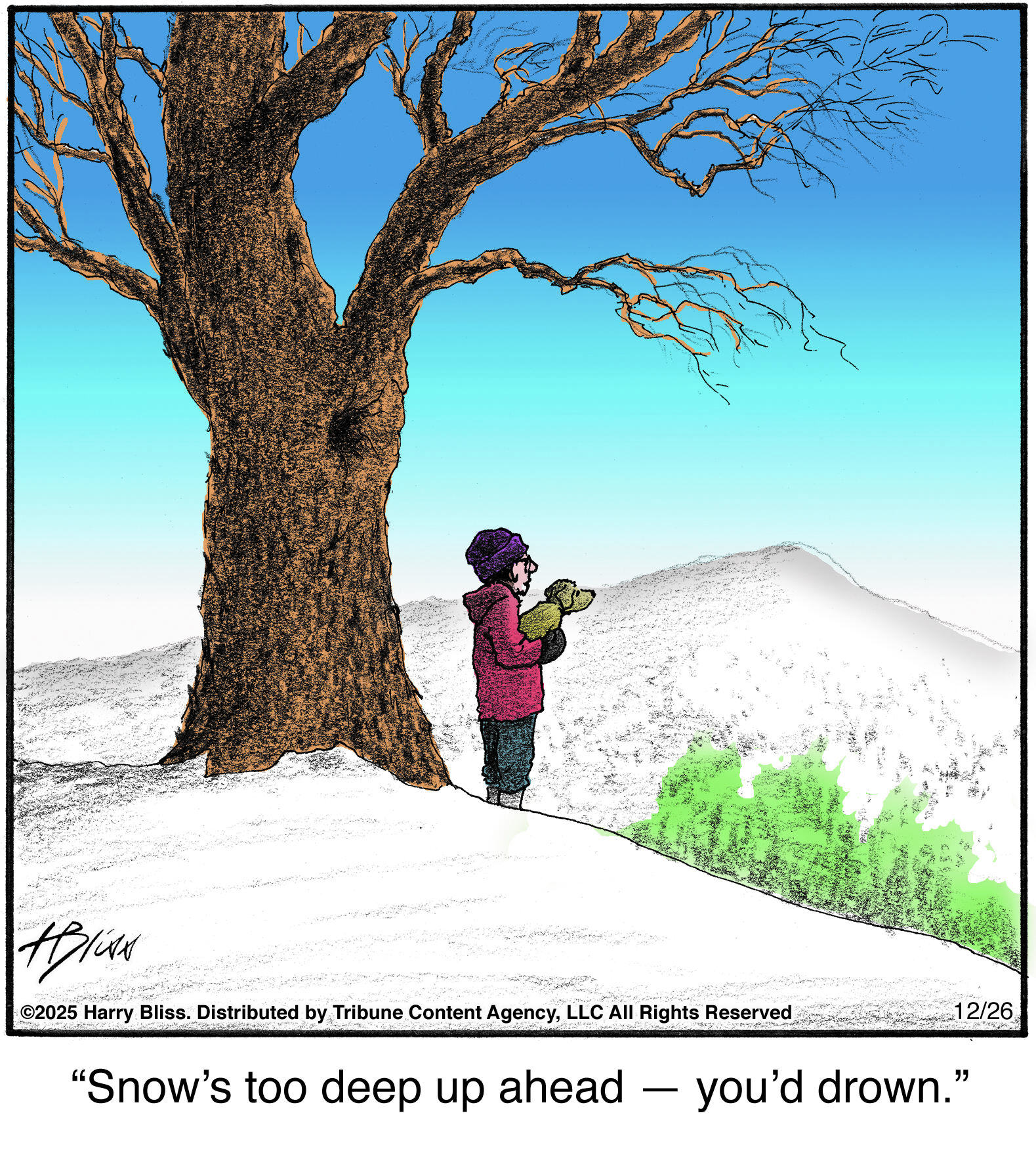 Bliss by Harry Bliss