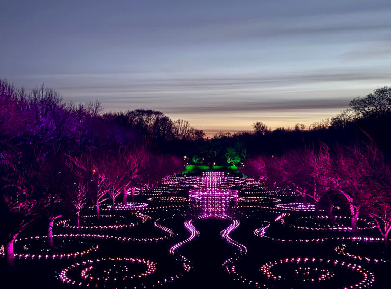 Garden of light: Where illumination transforms winter gardens into ...