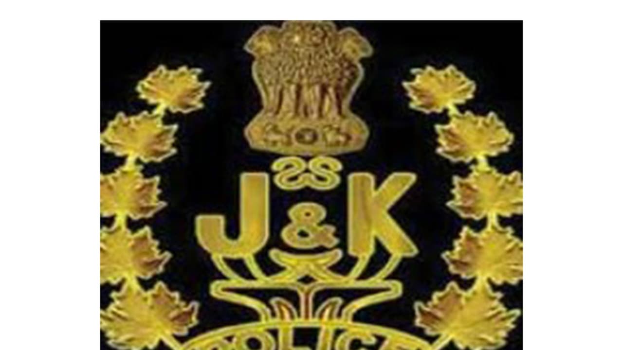 J&K: Suspicious aeroplane-shaped balloon found in Samba; police probe