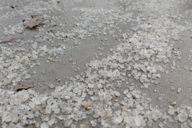 Road salt harms plants and aquatic life. How to use salt more ...