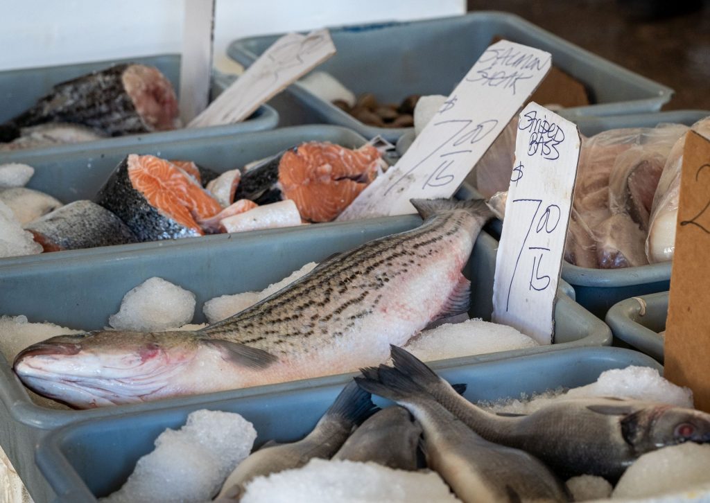 Fishy business: Rohnert Park couple admits to decade-long illegal fish ...