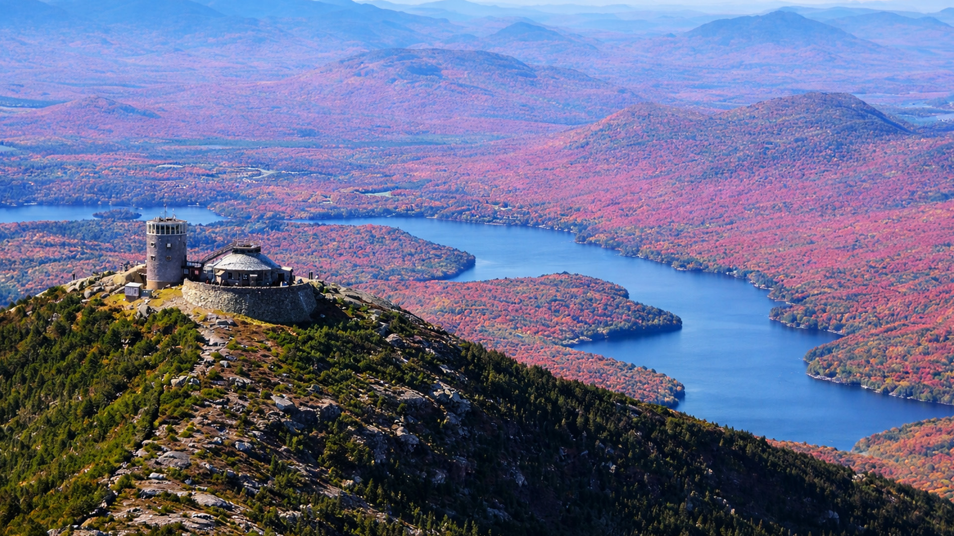 The tower in the painted forest