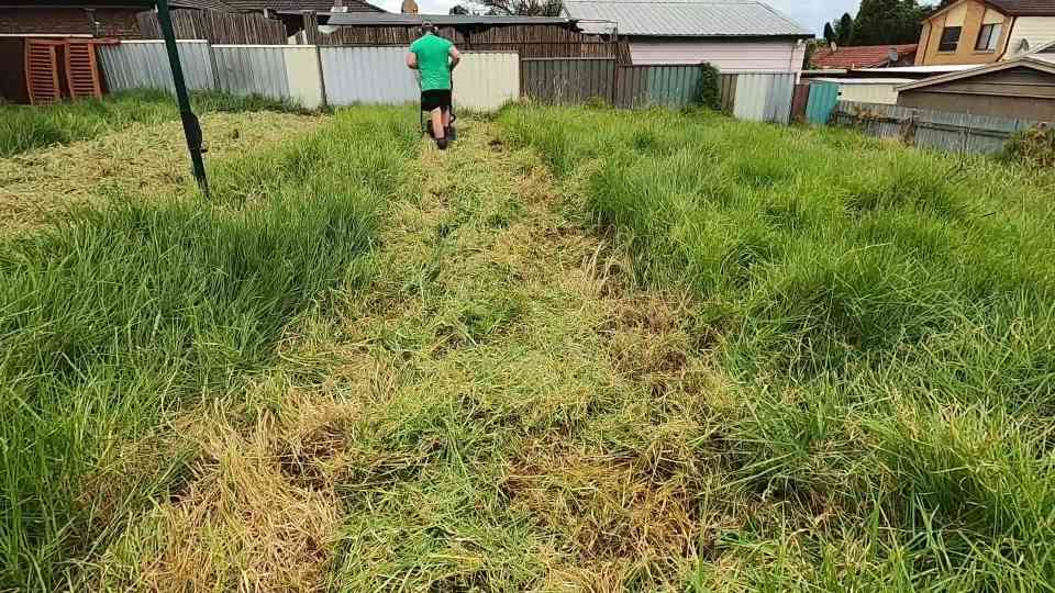 More than just another free clean up job