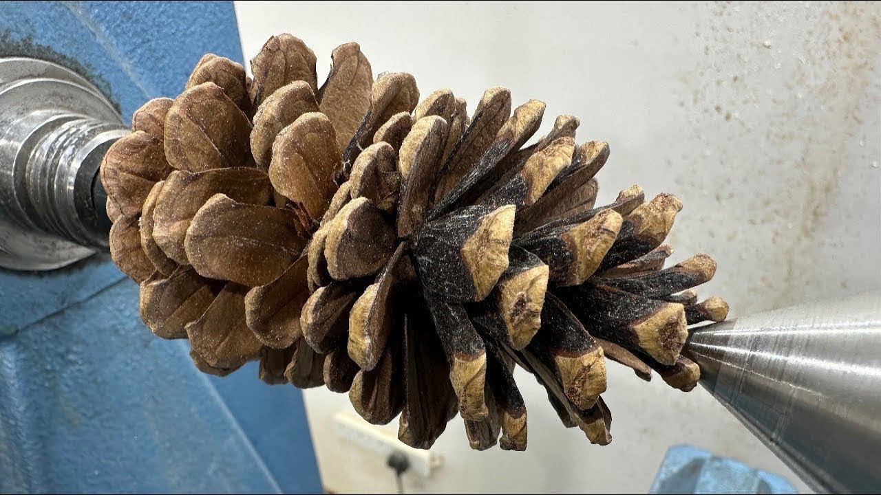 This is what a pinecone looks like after I did this