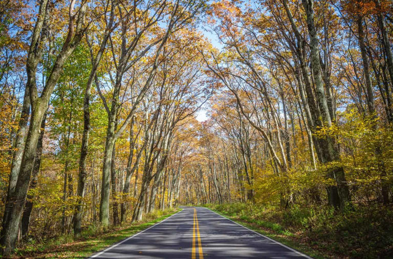 The best roads to travel for spectacular fall foliage