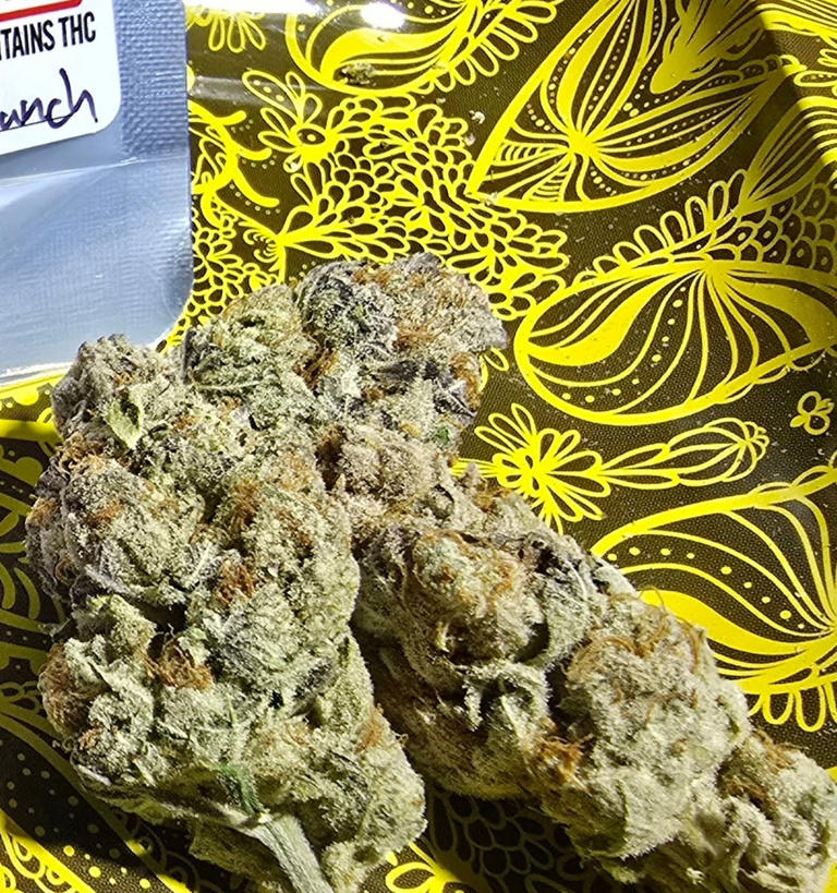 Floridians deserve access to safe, affordable cannabis | Opinion