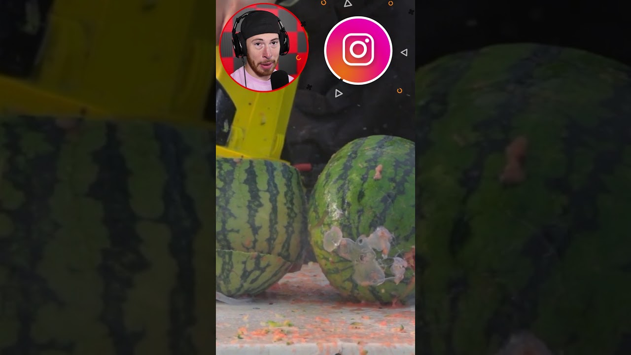 What chainsaw tests reveal about fruit structure