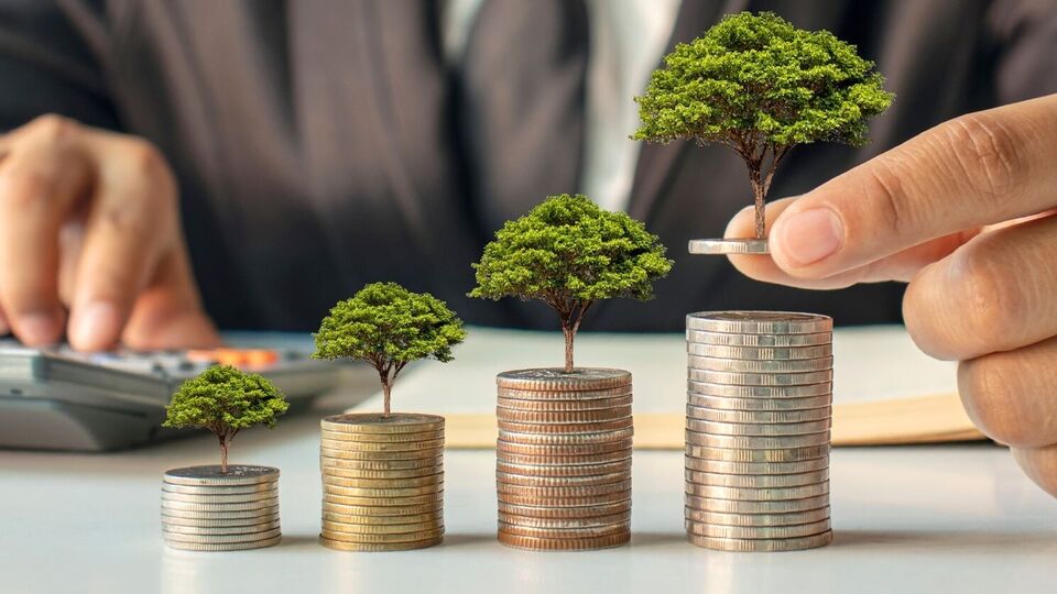 2025 mutual fund scorecard: Top performers, laggards, and key surprises