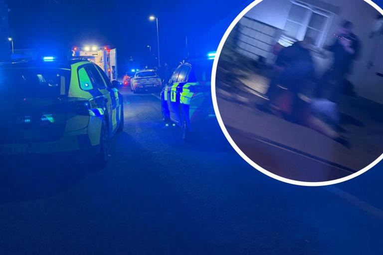Driveway grapple with police in Christmas Day village drama