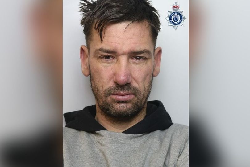 Brazen shoplifter is locked up again after yet another crime spree