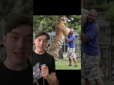 5 animals that are far larger than people often assume