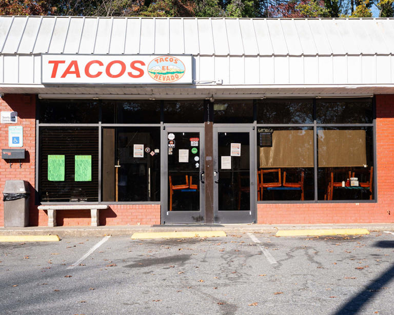 How a local artist reimagined Queen Charlotte as an anti-ICE activist