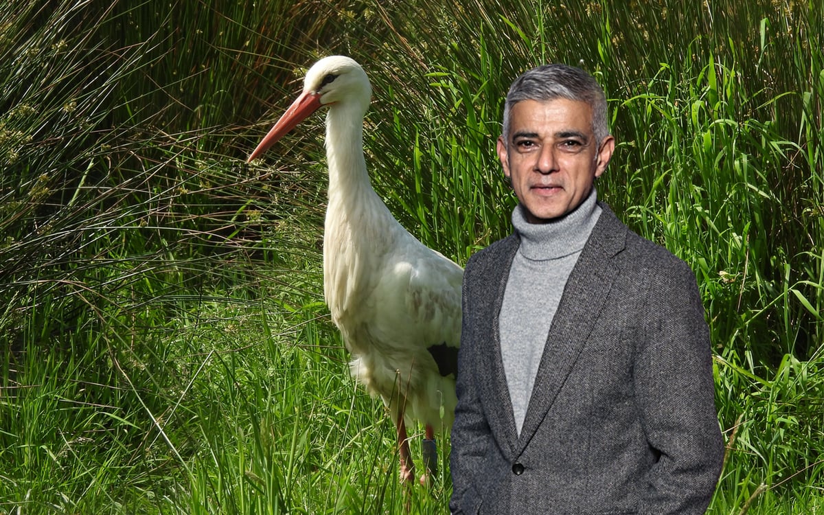 Opinion - Sadiq Khan: I want to rewild London. First stop - storks (yes ...