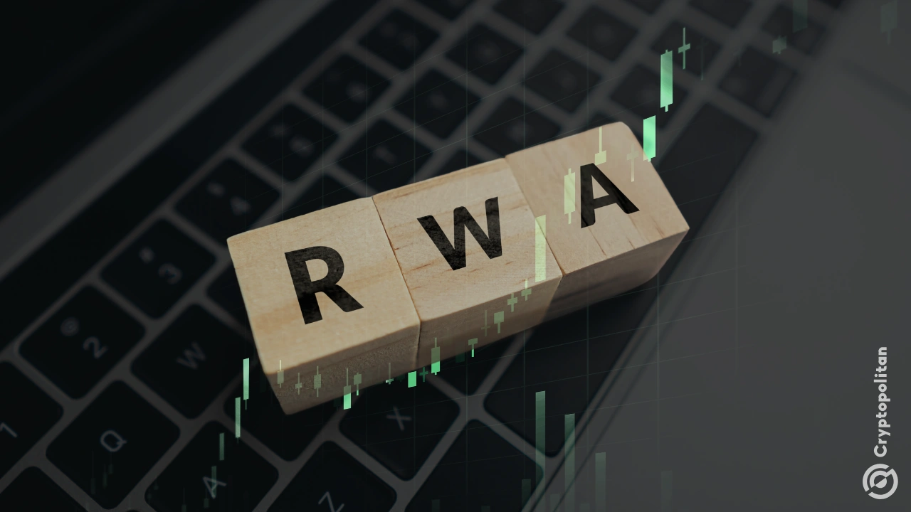 RWA tokens come out on top as most crypto sectors endure down year