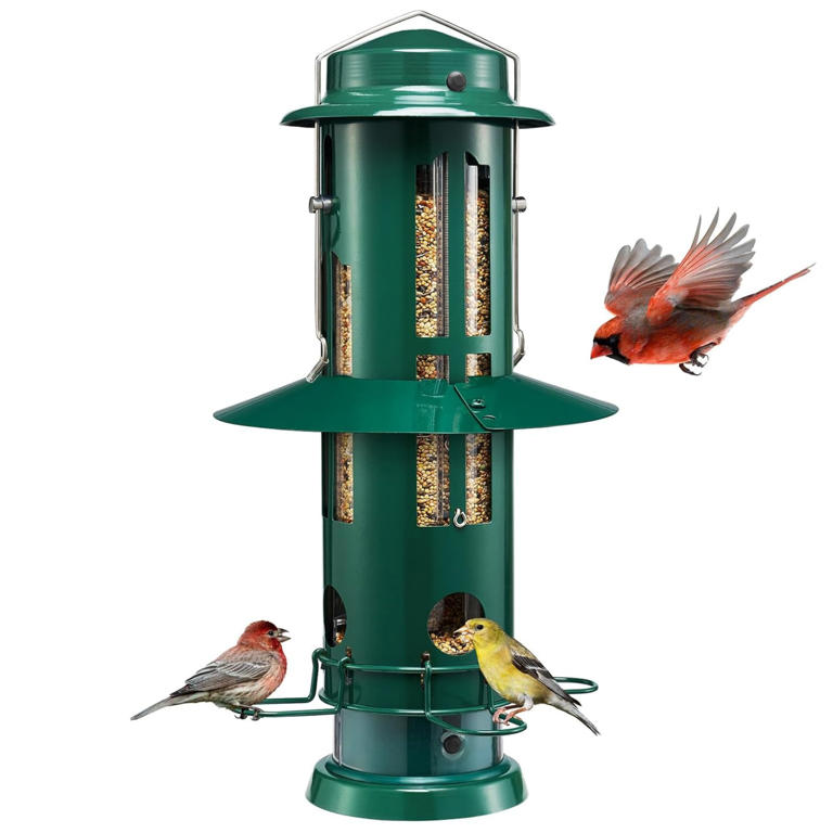 The 5-7-9 rule could squirrel-proof your bird feeder – here's what the ...